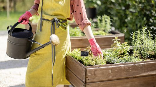 Garden Reflections – QVC+ and HSN+